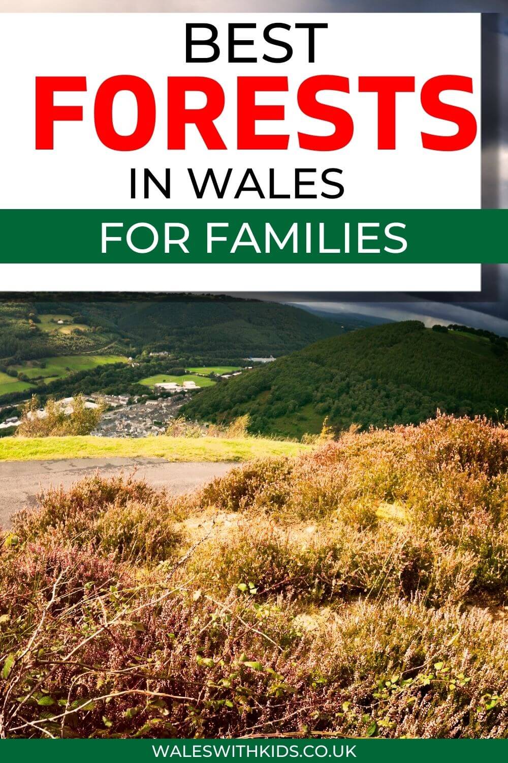 Best Forests in Wales to Visit with Kids - Wales With Kids